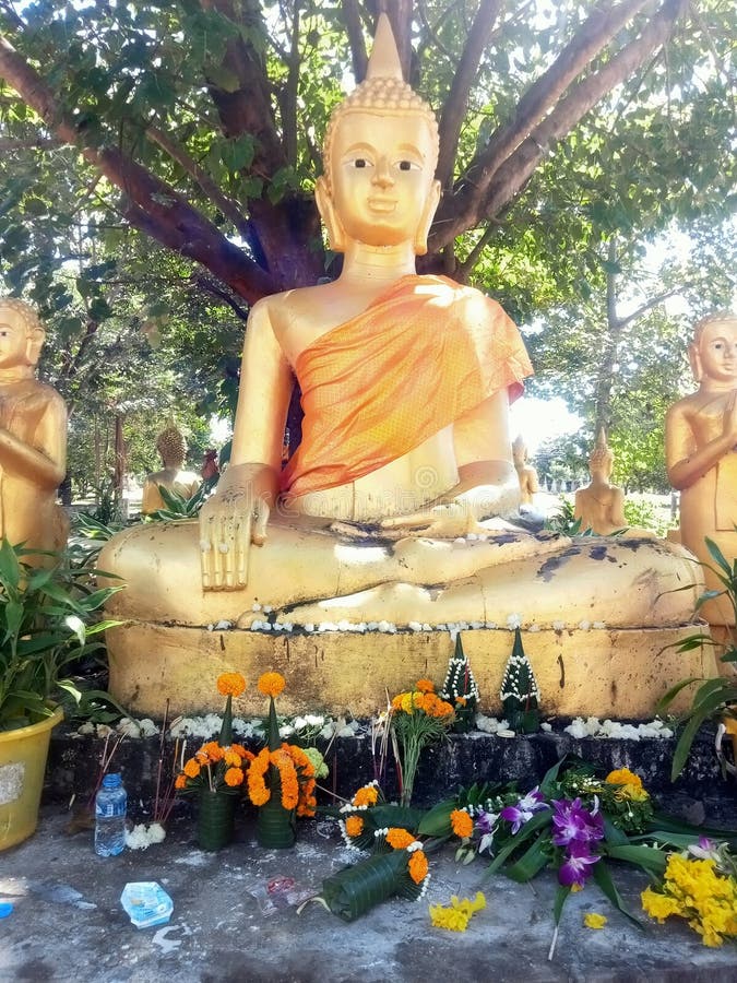 Buddha Statue Under the Bodhi Tree Stock Image - Image of statue, tree ...