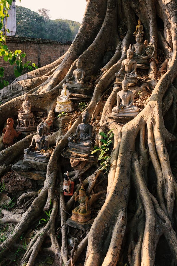 Buddha statue stock image. Image of bodhi, face, ancient - 52771289