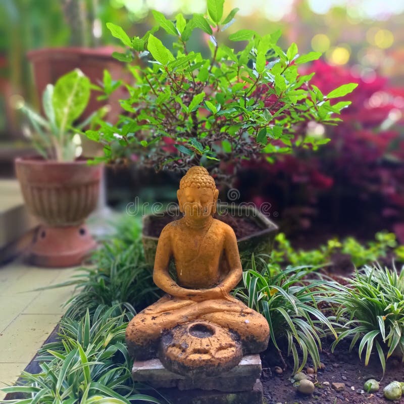 Buddha Statue Under a Shady Tree Meditating Stock Image - Image of ...
