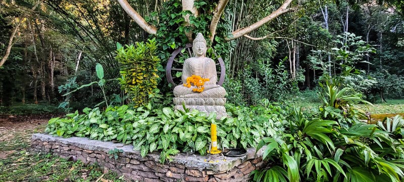 Buddha statue stock photo. Image of tropical, mountain - 271576280