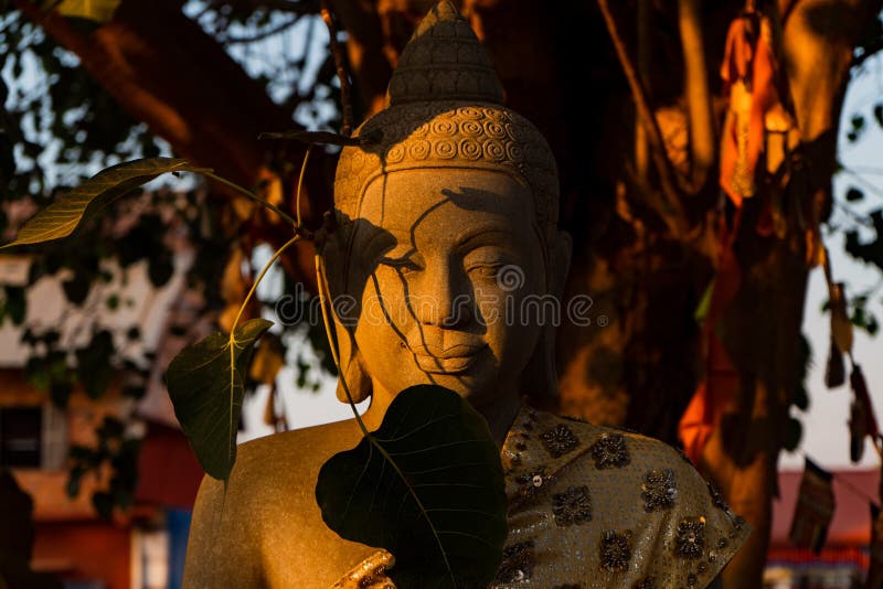 Buddha Statue Under the Tree Stock Image - Image of india, buddhist ...