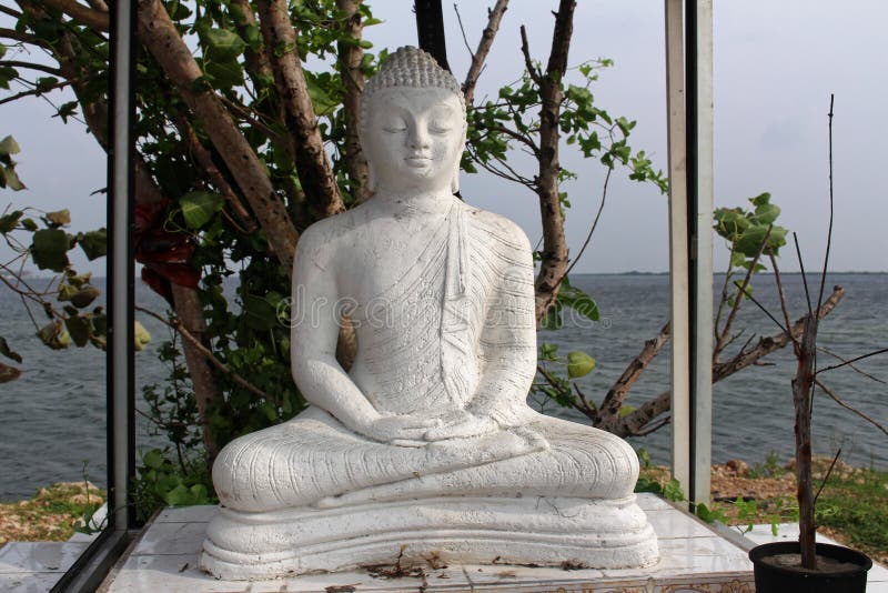 Buddha statue stock photo. Image of leaves, peace, buddhism - 152901110