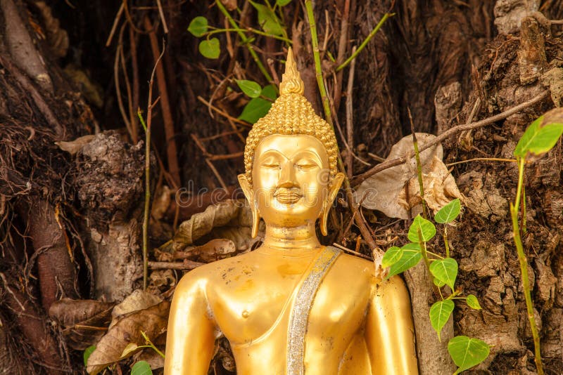 Buddha Statue Under the Tree Stock Image - Image of sculpture, faith ...