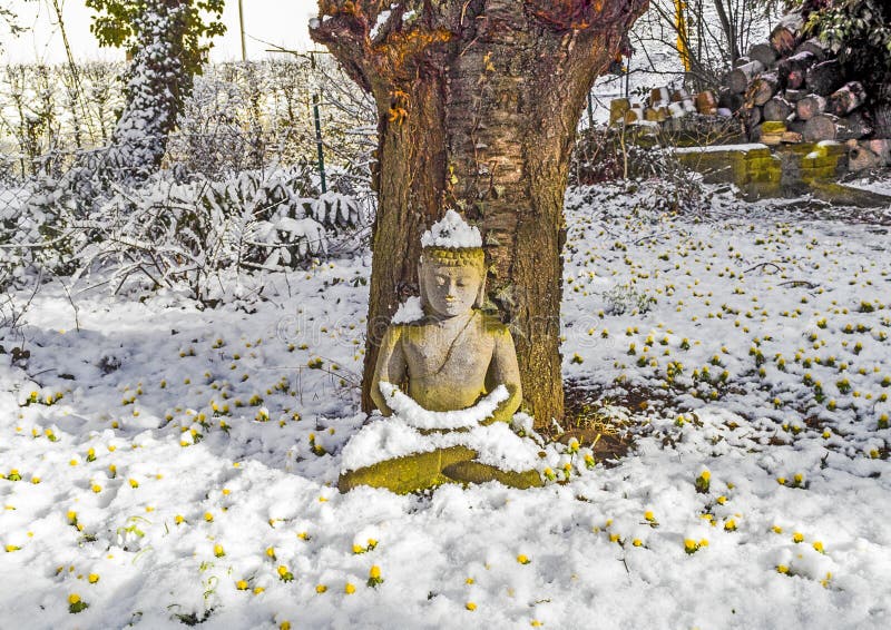 Buddha Statue Under a Tree in Wintertime Stock Photo - Image of statue ...