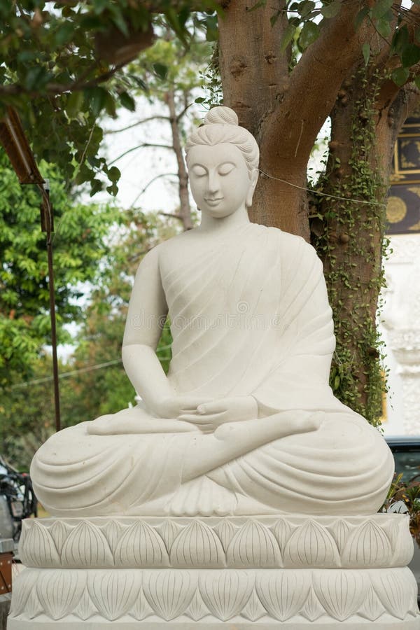 Muad Dib Stock Photos - Free & Royalty-Free Stock Photos from Dreamstime