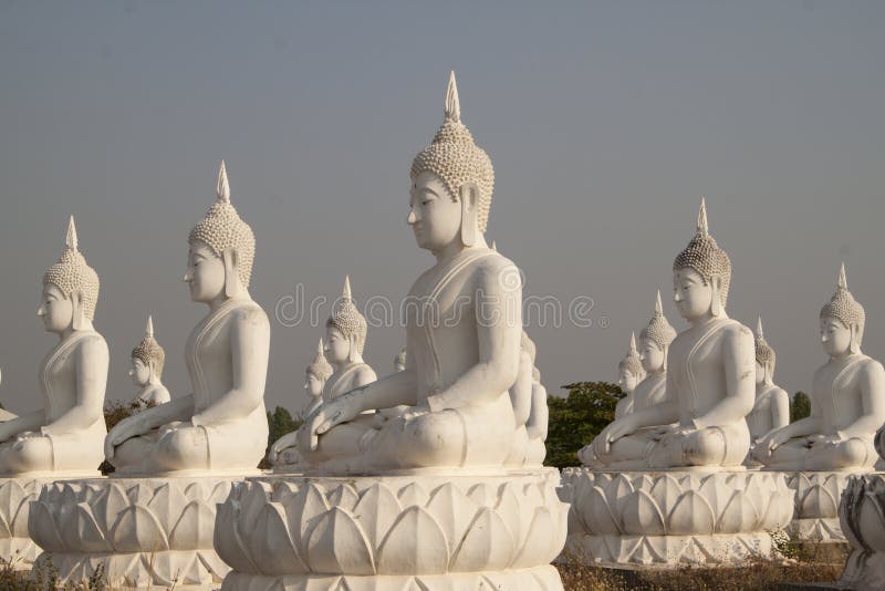 Buddha statues field stock image. Image of peace, buddha - 38953451