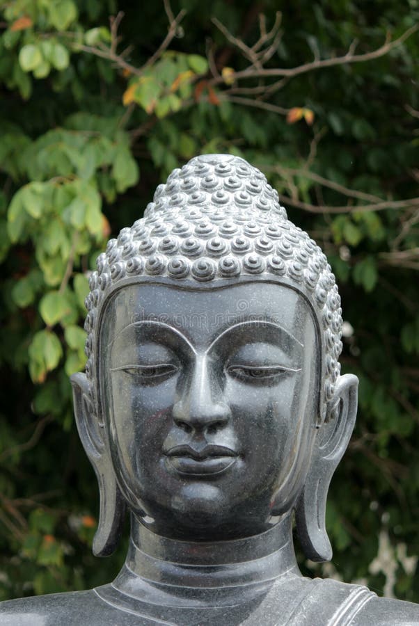 Buddha Statues in Various Postures Stock Photo - Image of carved ...