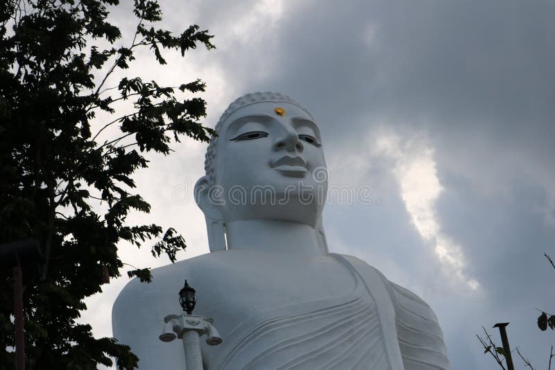 88feet Stock Photos - Free & Royalty-Free Stock Photos from Dreamstime