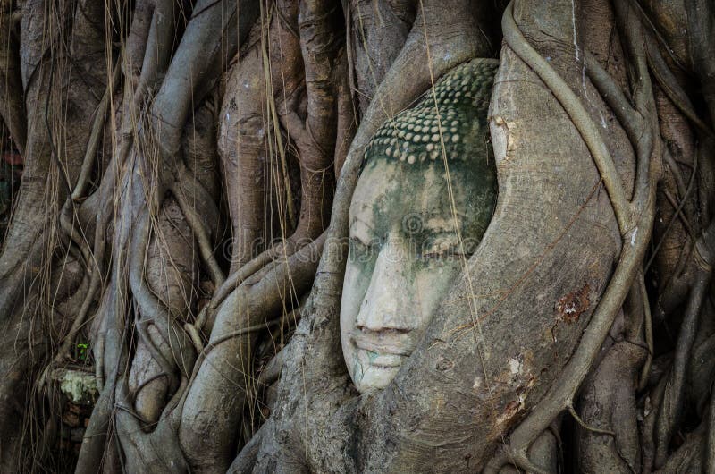 Budda Face stock photo. Image of face, monuments, buddha - 13351554
