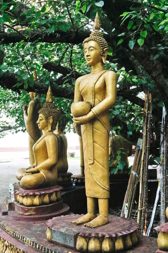 Buddha Under Bo Tree in Lao Temple, Laos Stock Image - Image of statues ...