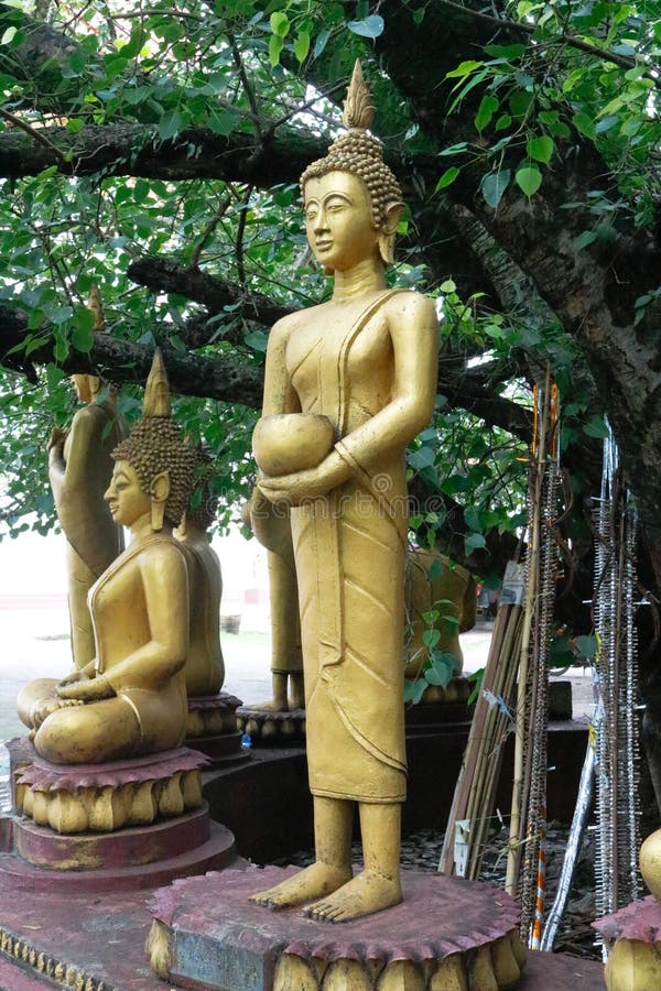 Buddha Under Bo Tree in Lao Temple, Laos Stock Photo - Image of success ...