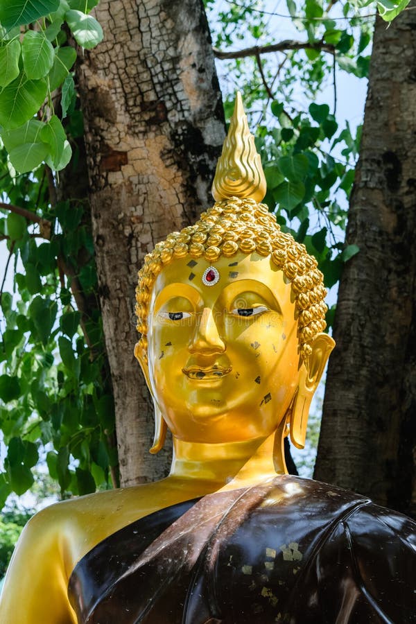 Buddha Under the Bodhi Tree Stock Photo - Image of historical, ancient ...
