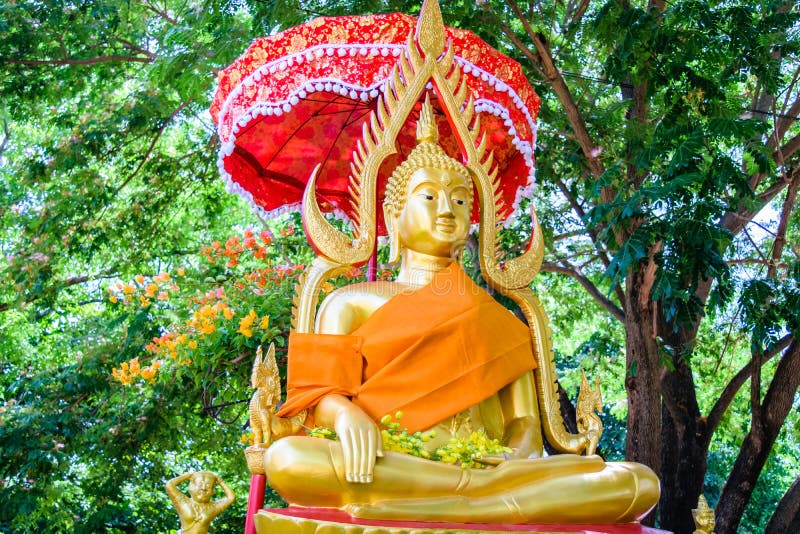 760 Golden Bodhi Tree Picture Stock Photos - Free & Royalty-Free Stock ...