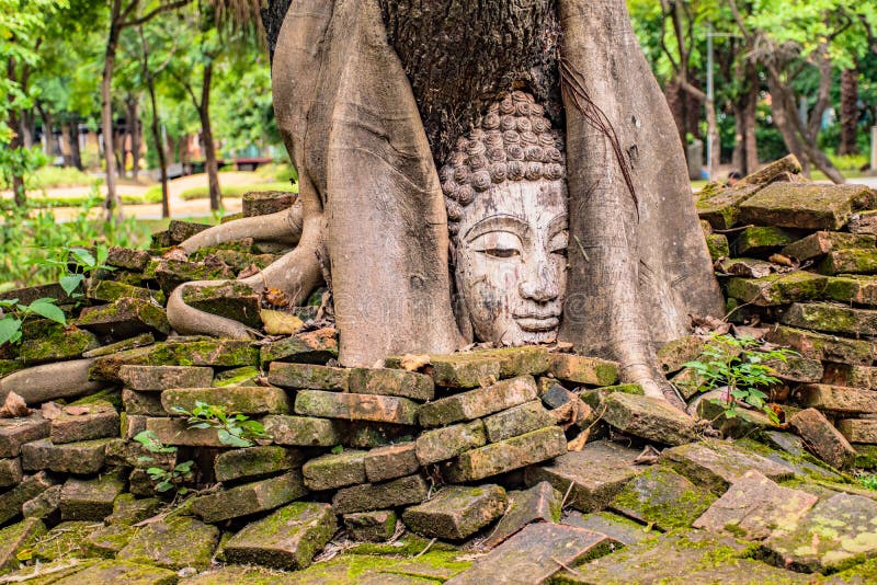 The Buddha is in the Wood Root. Stock Photo - Image of buddhist ...