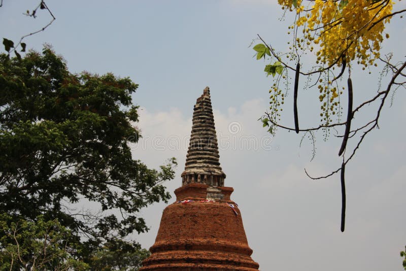 Blooming Cassia Fistula and Old Pagoda Stock Image - Image of brick ...