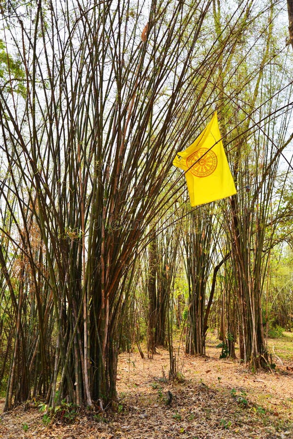 Buddhist flag stock photo. Image of religion, buddhism - 51311260