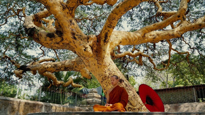 Buddhist Monk Make Merit and Meditation in Ancient Temple Stock Video ...