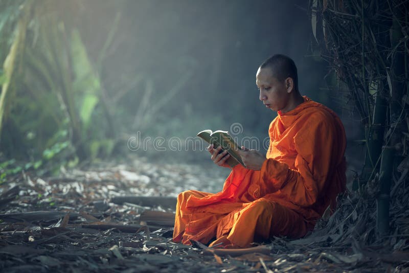 Monk reading book stock photo. Image of burmese, monk - 168491314