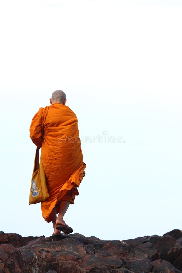 Buddhist monk editorial photo. Image of head, follow - 60295726