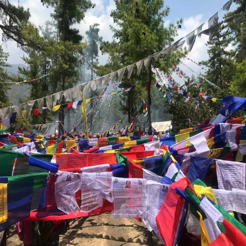 Mixture of flags stock image. Image of flower, tradition - 240777383