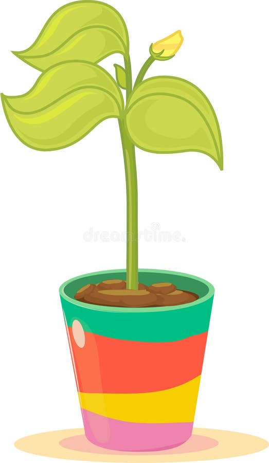 Budding Stock Illustrations – 1,353 Budding Stock Illustrations ...