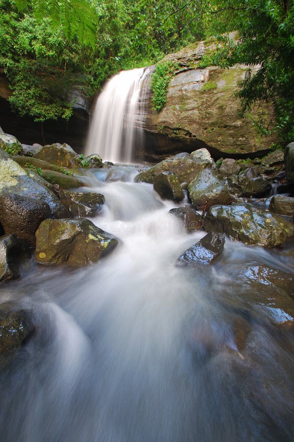 Buderim Falls stock photo. Image of forest, leaves, buderim - 26717900