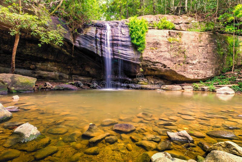 Buderim Forest Park Waterfall Flowing Down a Cliff into a Clear Plunge ...