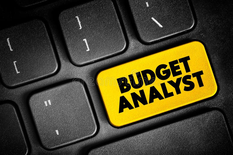 Budget Analyst are Responsible for Reviewing the Organization S Budget ...