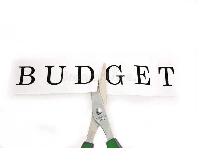 Budget Cut stock image. Image of cutting, balance, cost - 8799457