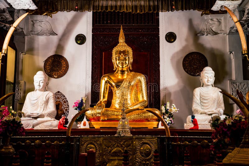 Budha Golden Temple at the Candy Sri Lanka Stock Photo - Image of ...