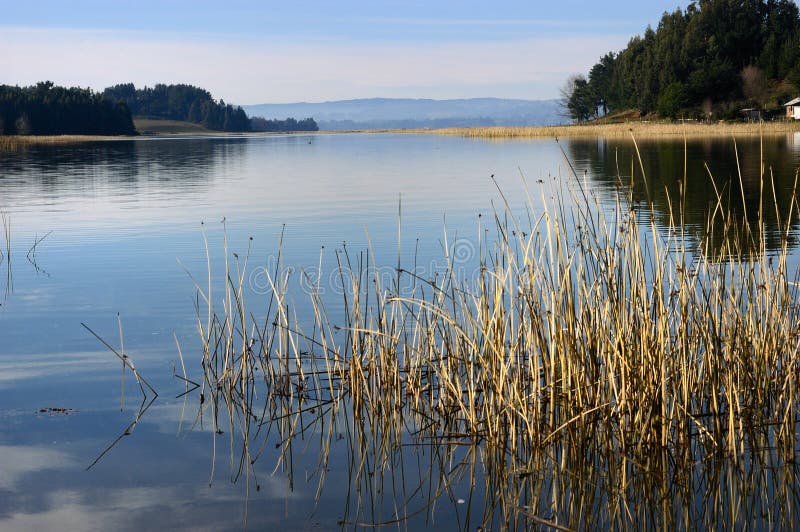 Budi Lake, Chile stock photo. Image of araucania, puerto - 37829116