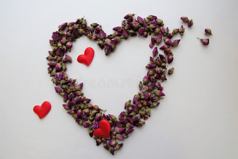 Buds of Small Roses Lined with the Heart on a White Background Stock ...