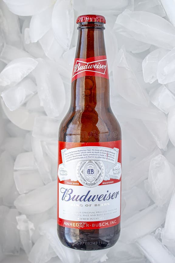 A Budweiser Bottle Beer on Ice Editorial Stock Image - Image of liquid ...