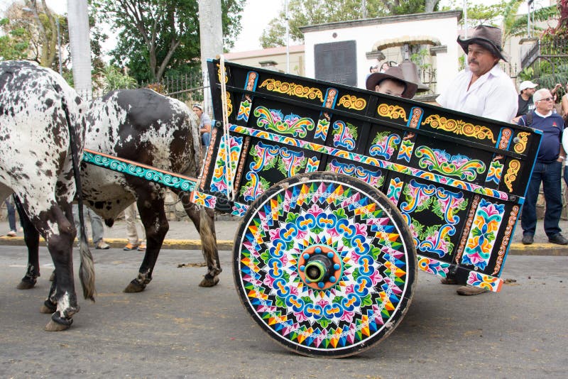 Buey-carro de Costa Rica imagen de archivo editorial. Imagen de ...