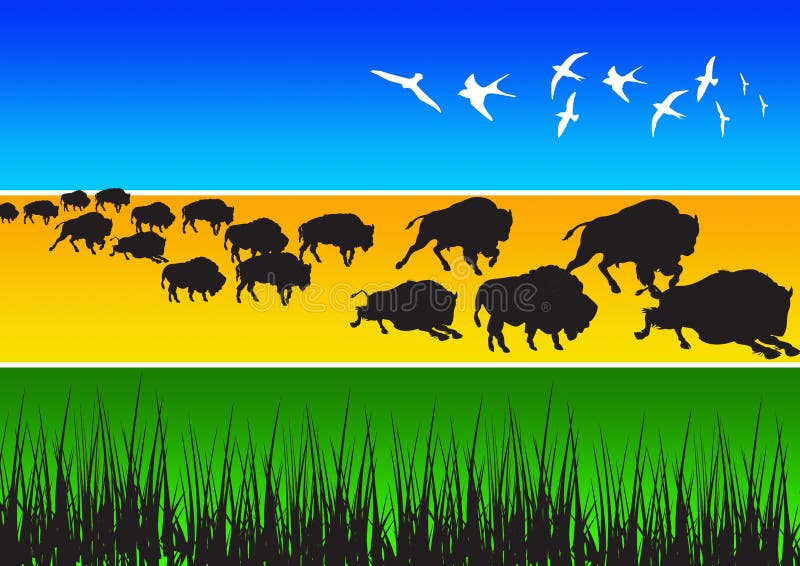Buffalo stock illustration. Illustration of shadow, mammals - 2730895