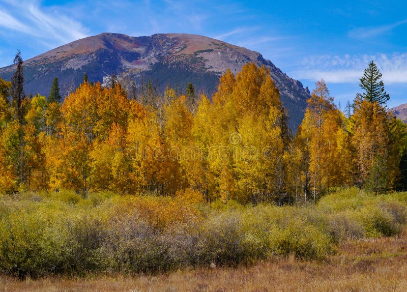 Buffalo Mountain Fall Colors Stock Photo - Image of fall, trees: 74996648