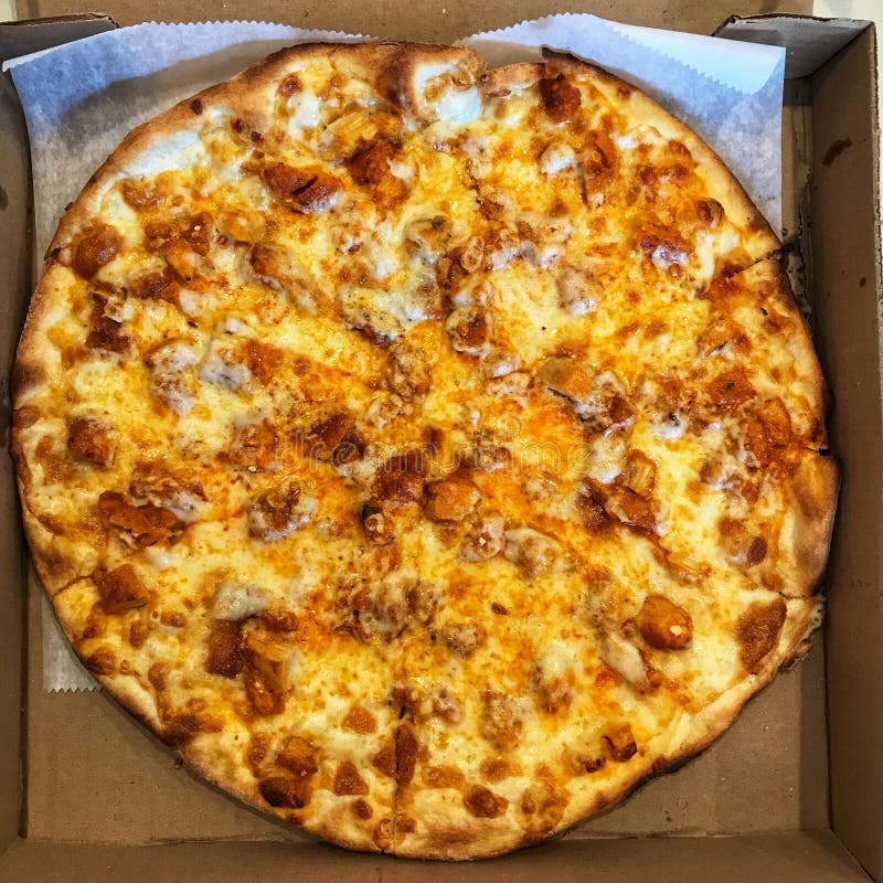 Buffalo pizza stock image. Image of cheesy, italian - 124436715