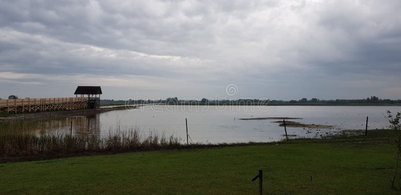 Buffalo Reserve at Spring in Hungary Stock Photo - Image of tiddy ...