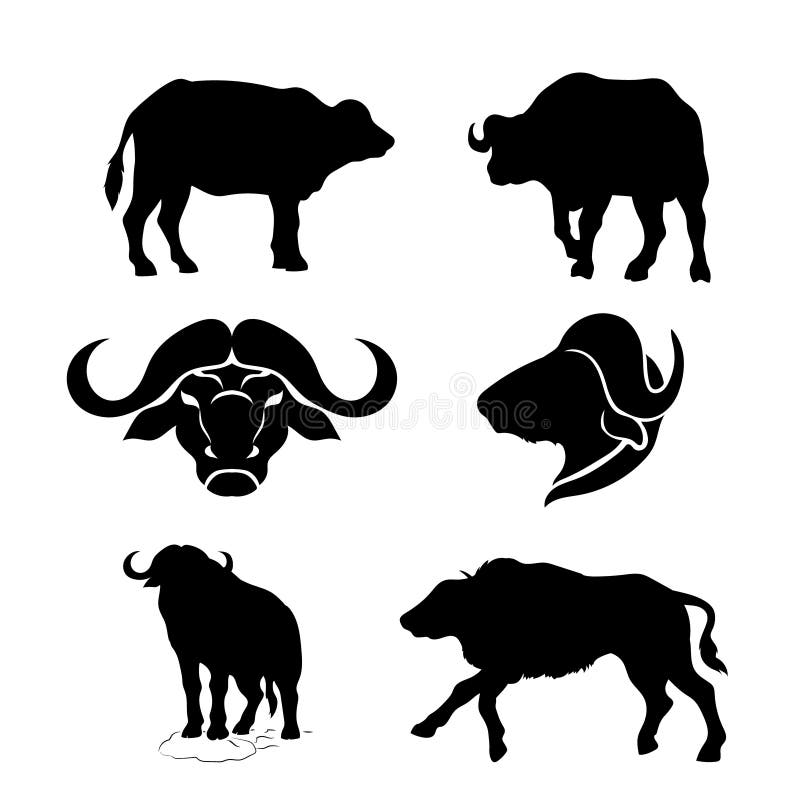 Buffalo set vector stock vector. Illustration of buffalo - 50299949