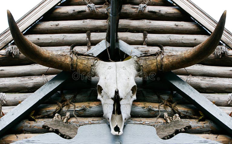 Buffalo skull stock image. Image of evil, bull, hunt, death - 6882155