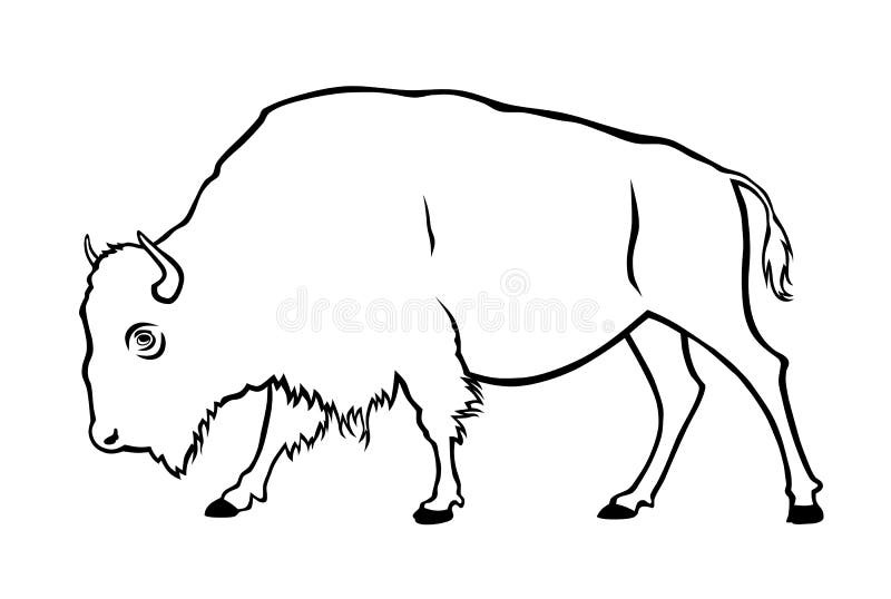 Buffalo stock vector. Illustration of bison, american - 51687401
