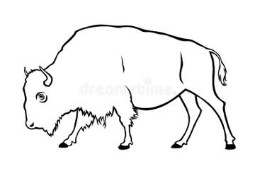 Buffalo Side View Stock Illustrations – 510 Buffalo Side View Stock ...