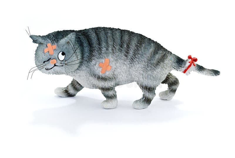 Buffeted Cat Stock Photos - Free & Royalty-Free Stock Photos from ...