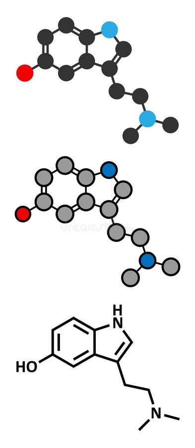 Bufotenin Molecule. Tryptamine Present in Several Psychedelic Toads. 3D ...