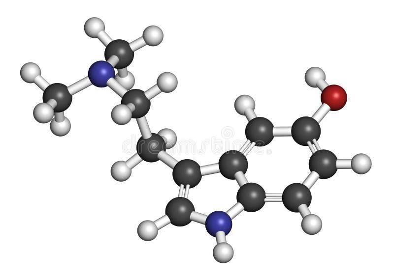 Tryptamine Molecule Stock Illustrations – 154 Tryptamine Molecule Stock ...