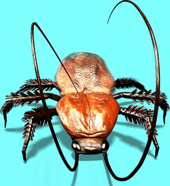 Killing Bug Stock Illustrations – 270 Killing Bug Stock Illustrations ...