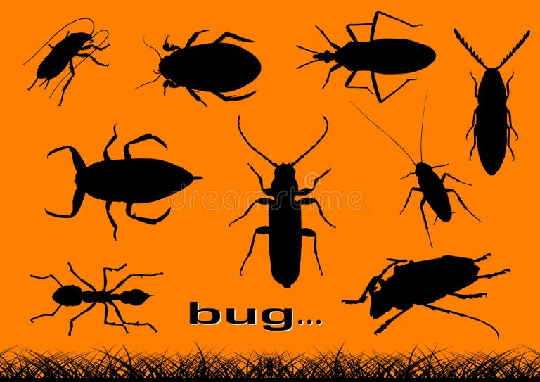 Vermin Bugs Stock Illustrations – 210 Vermin Bugs Stock Illustrations ...