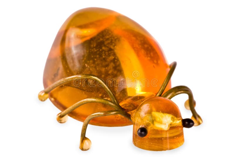 Baltic Amber Stone Inclusion. Stock Photo - Image of jewel, mineral ...