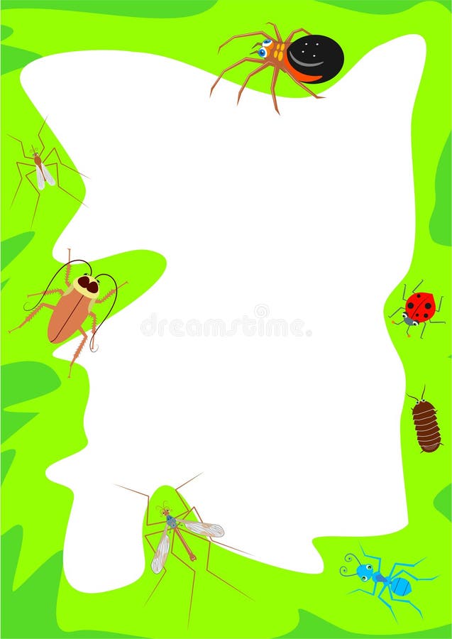 Insects Border