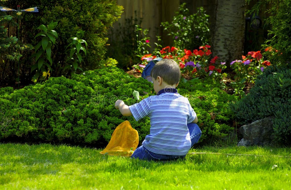 Bug Catching stock image. Image of garden, child, youth - 134433